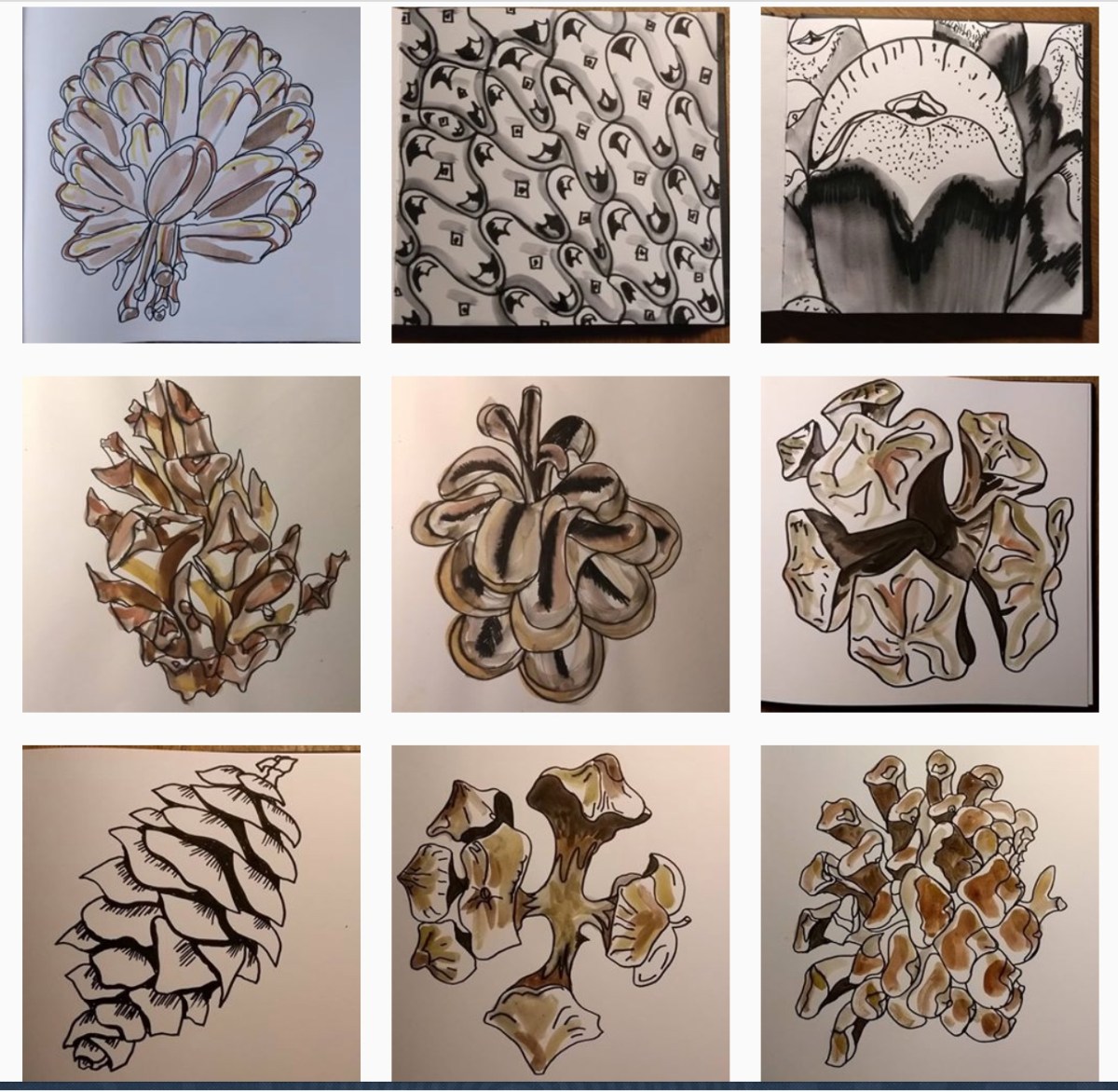 Draw Every Day – Clare Qualmann